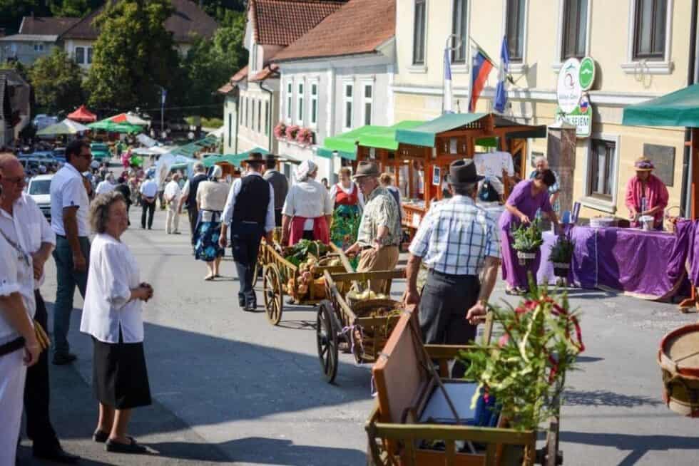 Anin sejem - Turistično društvo Višnja Gora